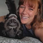 Al Brust's Instagram, Twitter & Facebook on IDCrawl