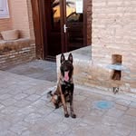 Amanda Maglio's Instagram, Twitter & Facebook on IDCrawl