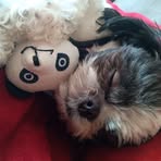 Amberlynn Reid's Instagram, Twitter & Facebook on IDCrawl