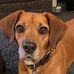 Amy Mullinger's Instagram, Twitter & Facebook on IDCrawl