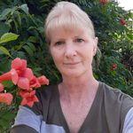 Emily Shireman's Instagram, Twitter & Facebook on IDCrawl