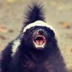 Barney Hodge's Instagram, Twitter & Facebook on IDCrawl