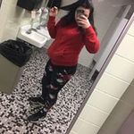 Brianna Lattanzio's Instagram, Twitter & Facebook on IDCrawl