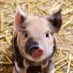 Cameron Wipf's Instagram, Twitter & Facebook on IDCrawl