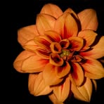 Claudia Hardesty's Instagram, Twitter & Facebook on IDCrawl