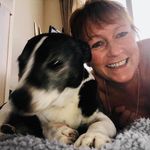 Cassandra Anzelone's Instagram, Twitter & Facebook on IDCrawl