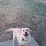 Curtis Booz's Instagram, Twitter & Facebook on IDCrawl