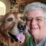 Desiree Larson's Instagram, Twitter & Facebook on IDCrawl