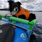 Dustin Woodman's Instagram, Twitter & Facebook on IDCrawl