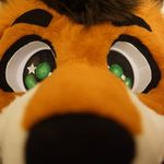 Felix Fox Instagram, Twitter & Facebook on IDCrawl