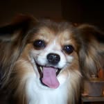 Gary Kyker's Instagram, Twitter & Facebook on IDCrawl