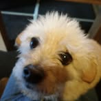 Iris Beil's Instagram, Twitter & Facebook on IDCrawl