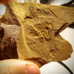 Jared Dyche's Instagram, Twitter & Facebook on IDCrawl