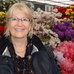 Olivia Donegan's Instagram, Twitter & Facebook on IDCrawl