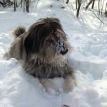 Kay Dobbin's Instagram, Twitter & Facebook on IDCrawl