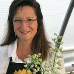 Lisa Meissner's Instagram, Twitter & Facebook on IDCrawl