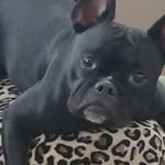 Luna Mcbride's Instagram, Twitter & Facebook on IDCrawl