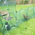 Meredith Porterfield's Instagram, Twitter & Facebook on IDCrawl