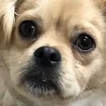 Milo Cooke's Instagram, Twitter & Facebook on IDCrawl