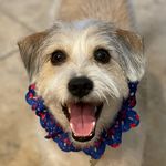 Monty Broome's Instagram, Twitter & Facebook on IDCrawl
