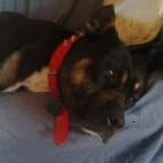 Nathaniel Sunderland's Instagram, Twitter & Facebook on IDCrawl