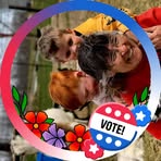 Rhonda Hulsebus's Instagram, Twitter & Facebook on IDCrawl