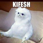 Robin Piontek's Instagram, Twitter & Facebook on IDCrawl