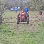 Serafino Bianchini's Instagram, Twitter & Facebook on IDCrawl