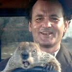 Shane Deforest's Instagram, Twitter & Facebook on IDCrawl