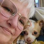 Shirleen Johnson's Instagram, Twitter & Facebook on IDCrawl