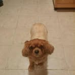 Susan Steffler's Instagram, Twitter & Facebook on IDCrawl