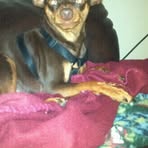 Susie Jeffcoat's Instagram, Twitter & Facebook on IDCrawl