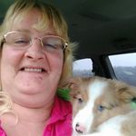 Terry Novotny's Instagram, Twitter & Facebook on IDCrawl