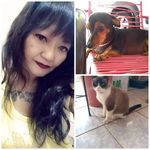 Tetsuro Kimura's Instagram, Twitter & Facebook on IDCrawl